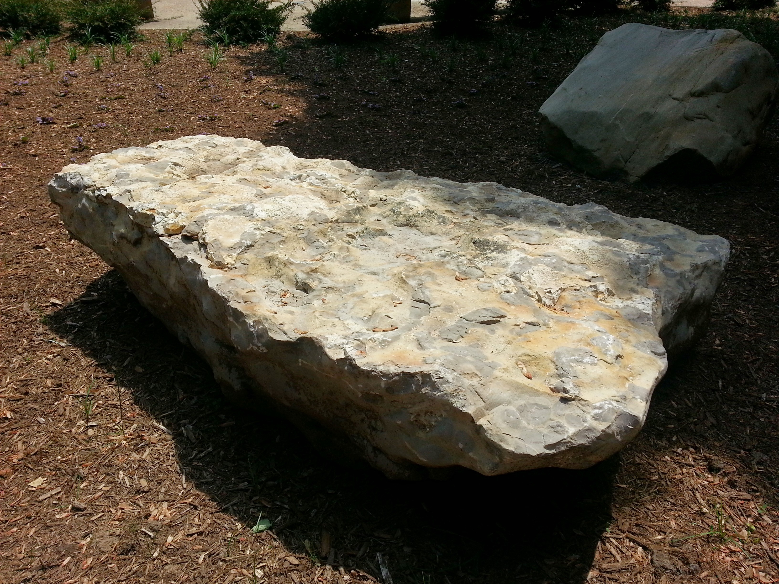 Chert - Department of Earth, Atmospheric, and Planetary Sciences ...