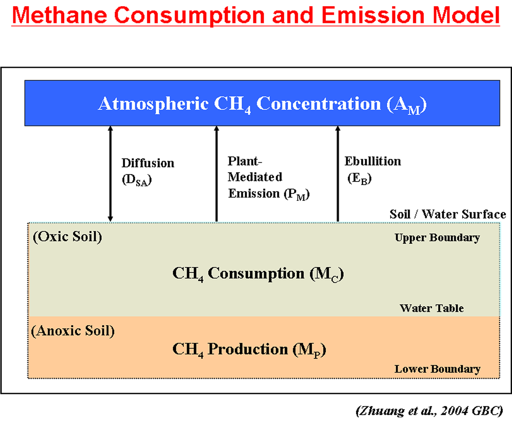 Ecosystems & Biogeochemical Dynamics Laboratory - Ecosystems and ...
