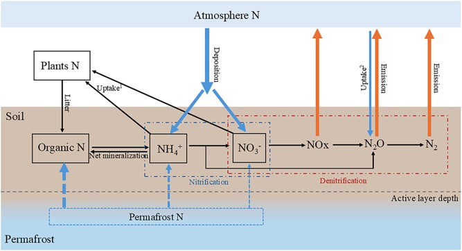 Ecosystems & Biogeochemical Dynamics Laboratory - Ecosystems and ...