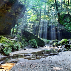 Turkey Run State Park: Visualizing Nature: Purdue University