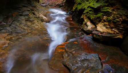 Visualizing Nature in the Midwest: Visualizing Nature: Purdue University