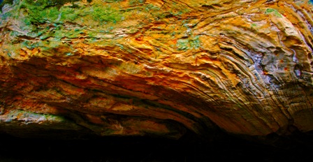 Visualizing Nature: Visualizing Nature: Purdue University